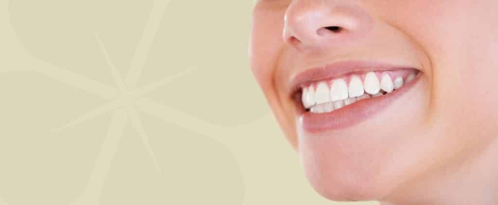what is plaque and how to protect your smile expert tips